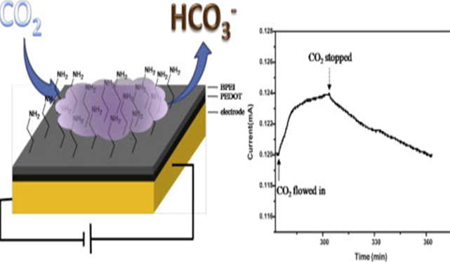Types & Applications of CO2 Sensor - Semiconductor for You