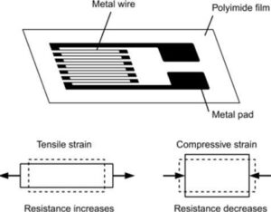 Weight Sensor - Working & Its Applications - Semiconductor for You