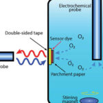 Oxygen Sensor : Working & Its Applications - Semiconductor for You