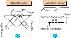 Fingerprint Sensor - Working & Its Applications - Semiconductor for You